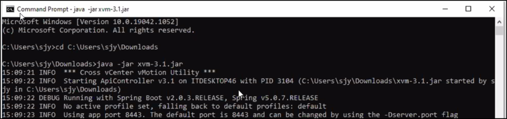 The VM Migration Process w/ VMware XVM Utility - Process Breakdown